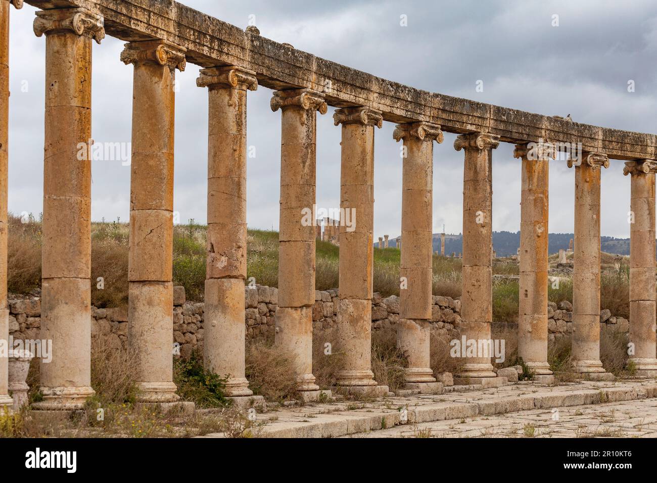 The Cardo Maximus in the ancient Roman city of Jerash, the largest and ...