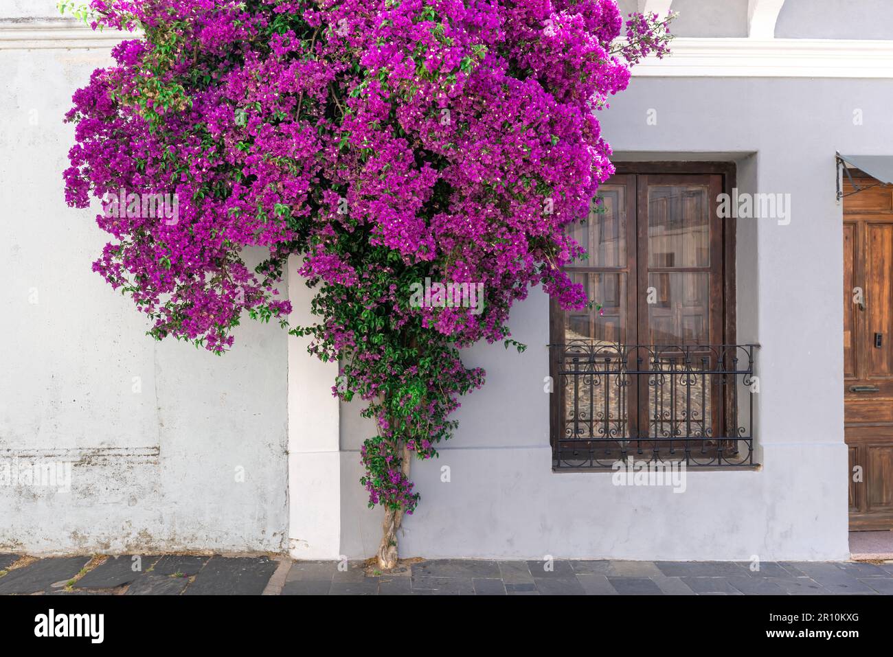 Uruguay, colonial streets of Colonia Del Sacramento in historic center ...