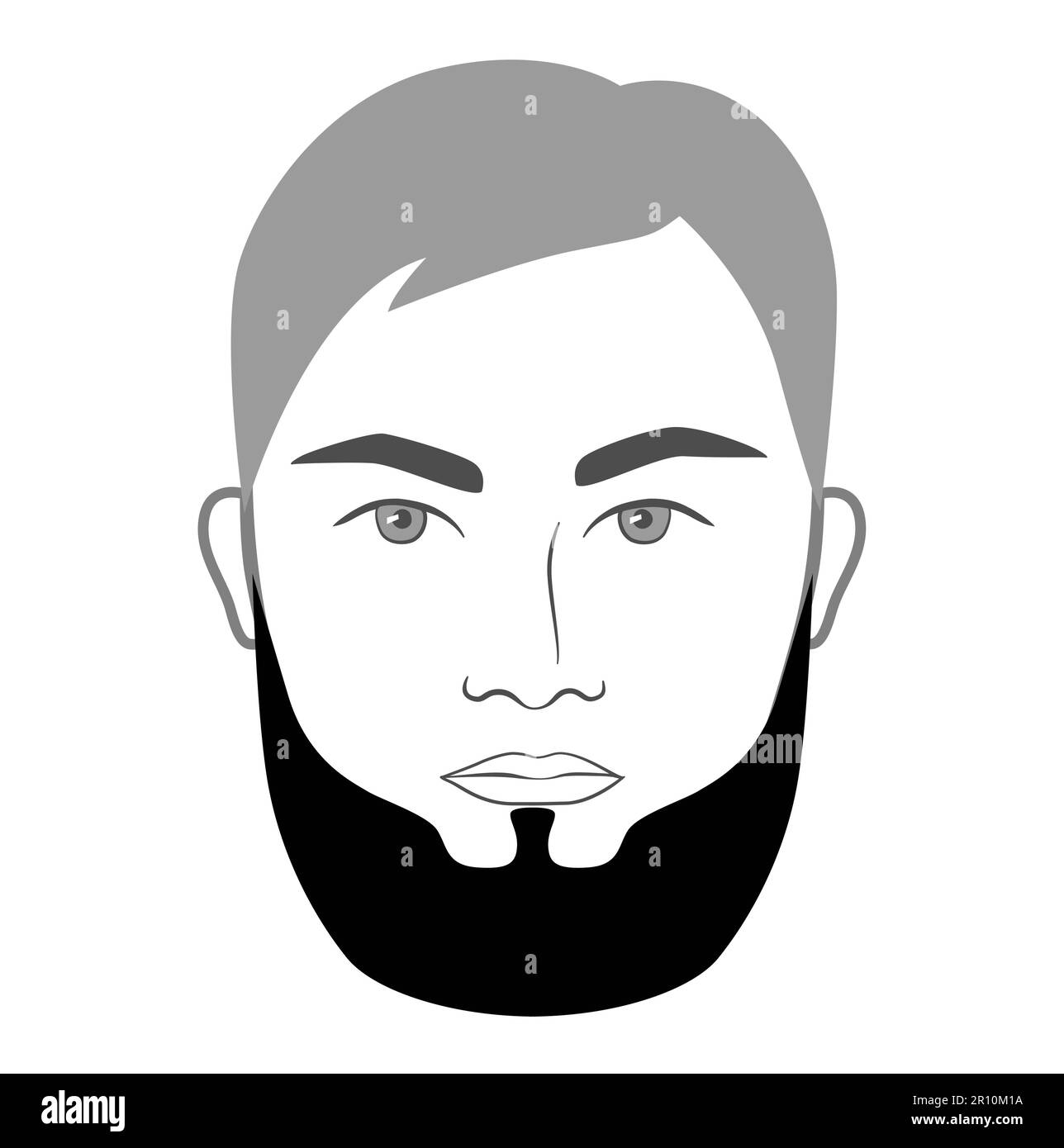 Dutch Beard style men in face illustration Facial hair. Vector grey ...