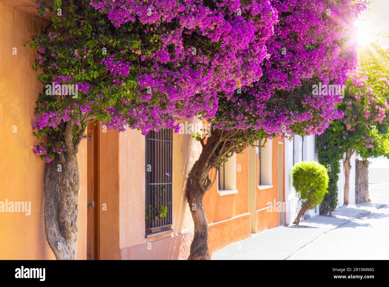Uruguay, colonial streets of Colonia Del Sacramento in historic center ...