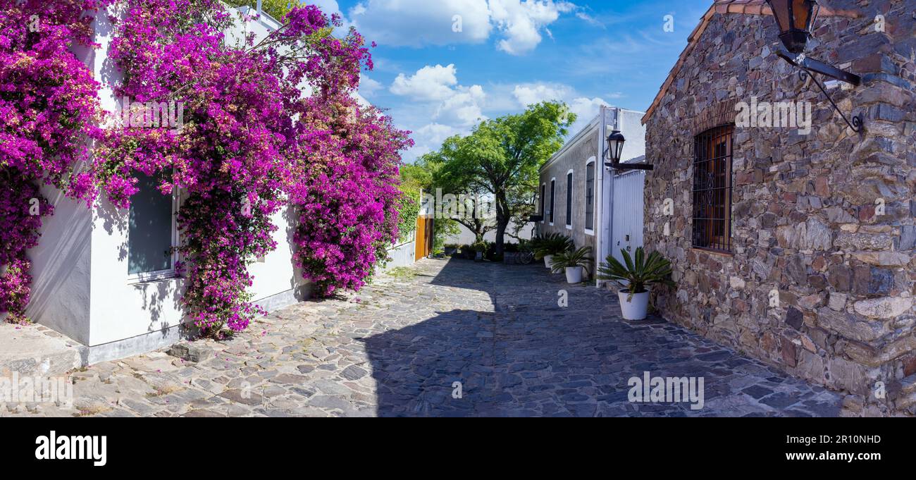 Uruguay, colonial streets of Colonia Del Sacramento in historic center ...