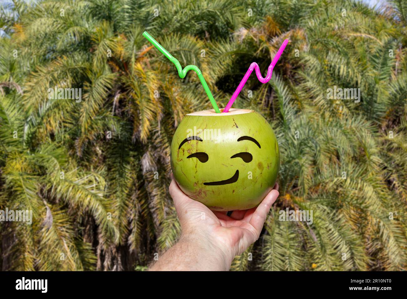 Emojis in nature hi-res stock photography and images - Alamy