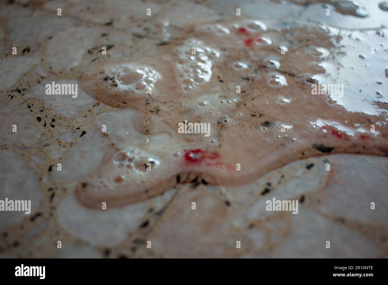 my cat is ill, it vomited transparently on the floor and the vomit had ...