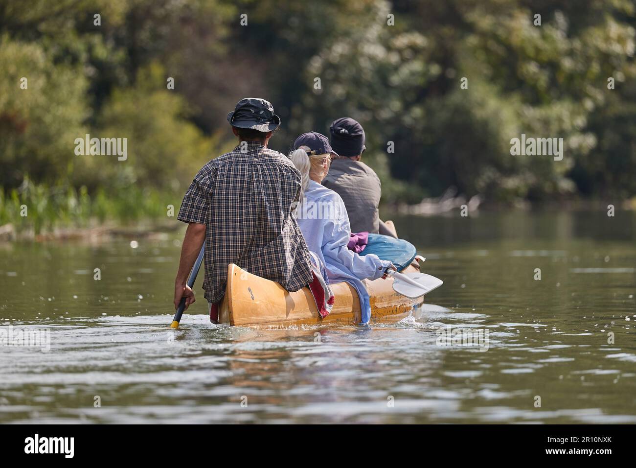 Canoeing in summer sunlight tisza hi-res stock photography and images ...