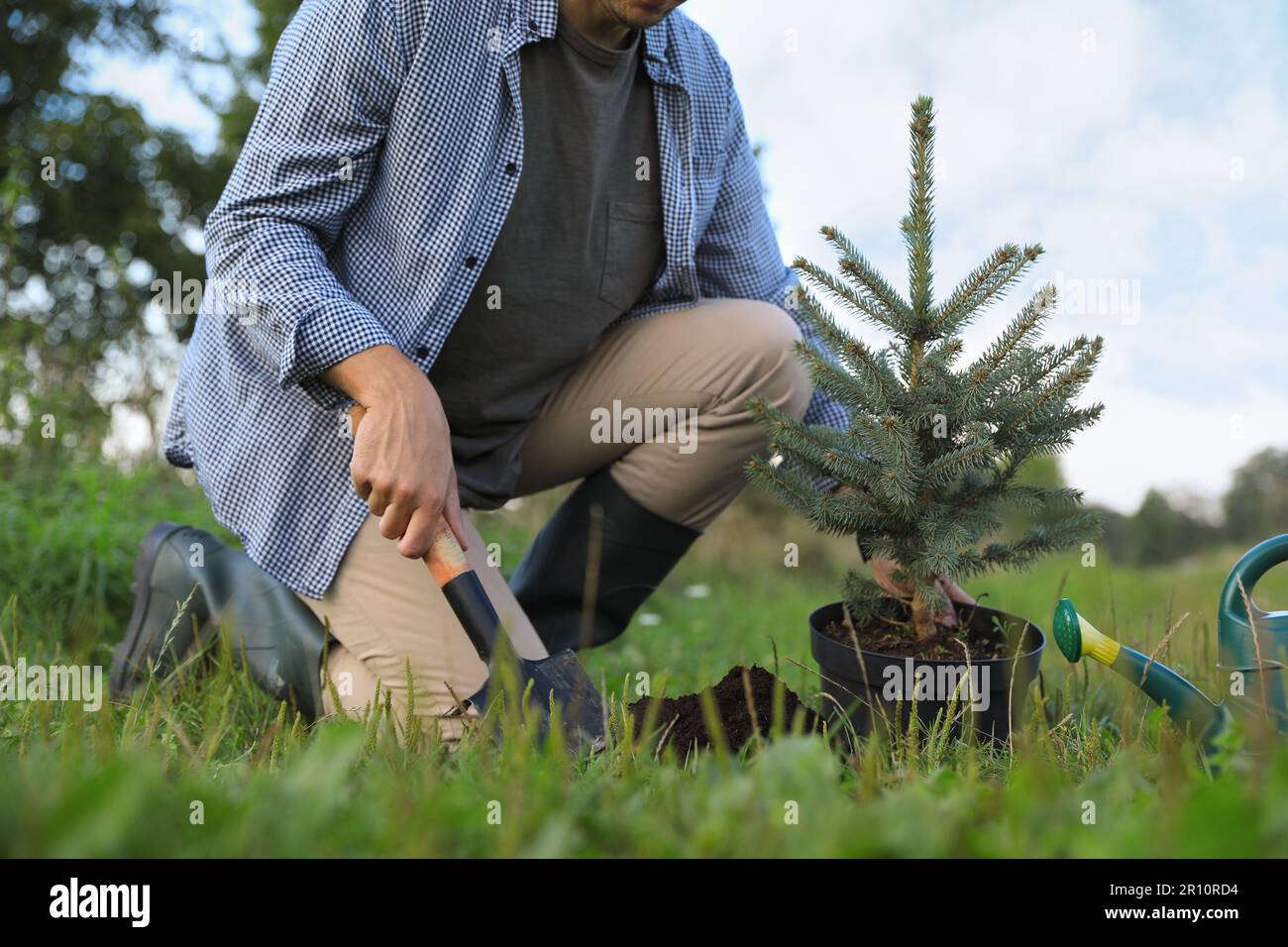 Fir tree sapling planting hi-res stock photography and images - Alamy