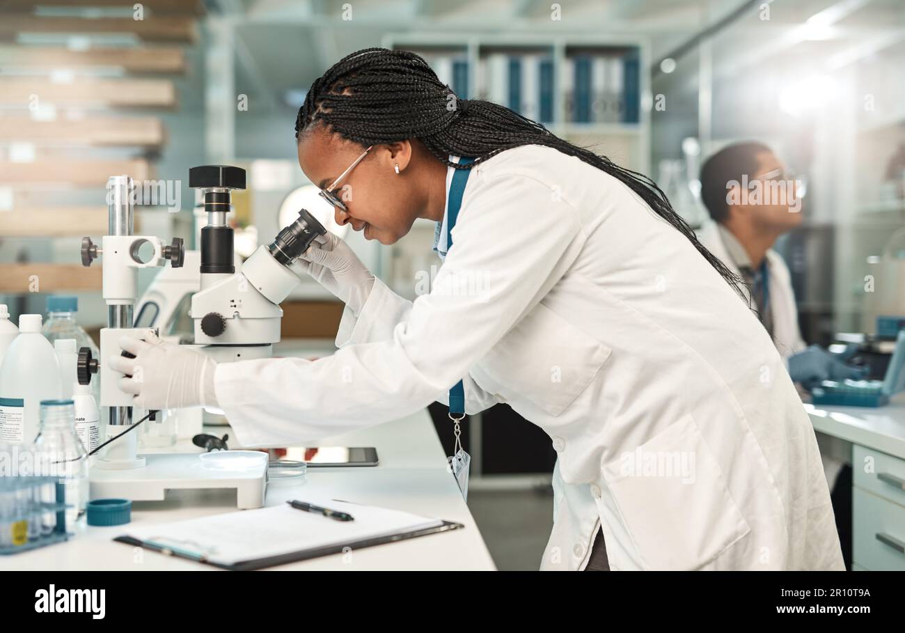 Lets take a closer look. a young scientist using a microscope in a lab ...