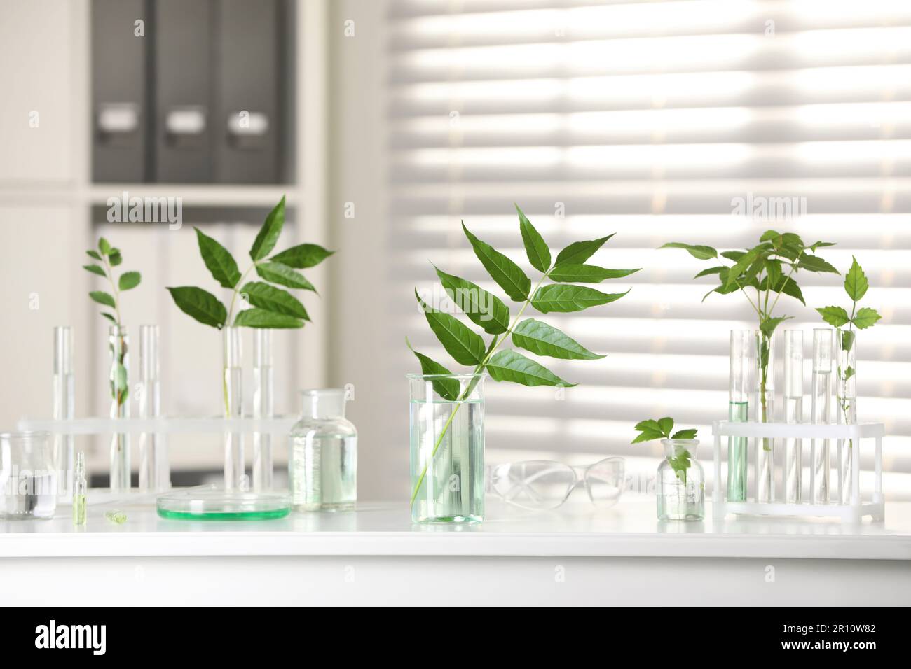 Laboratory glassware with plants on white table Stock Photo - Alamy