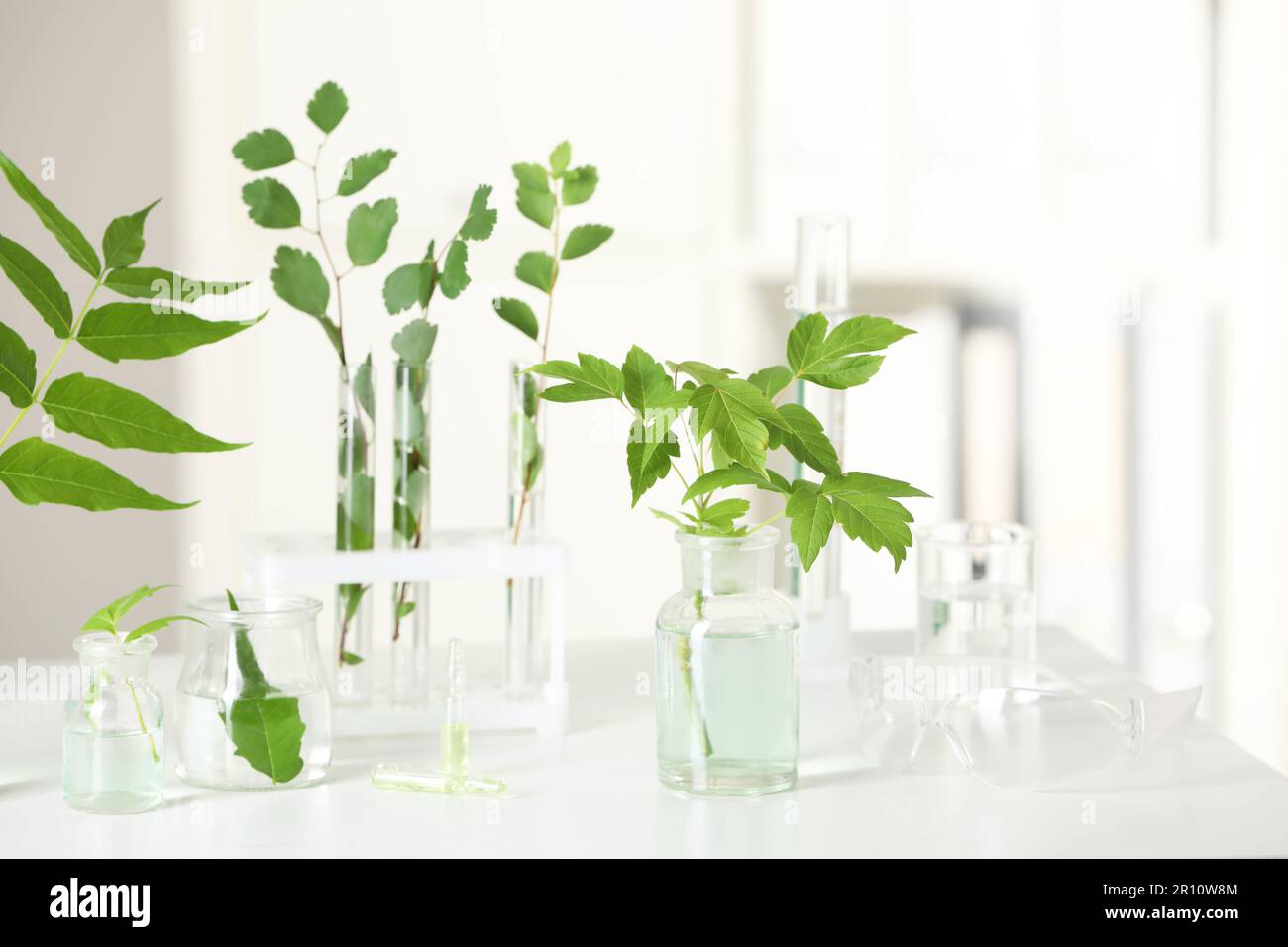 Laboratory glassware with plants on white table Stock Photo - Alamy