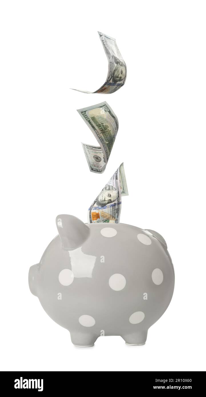 Dollar banknotes falling into grey piggy bank on white background Stock ...