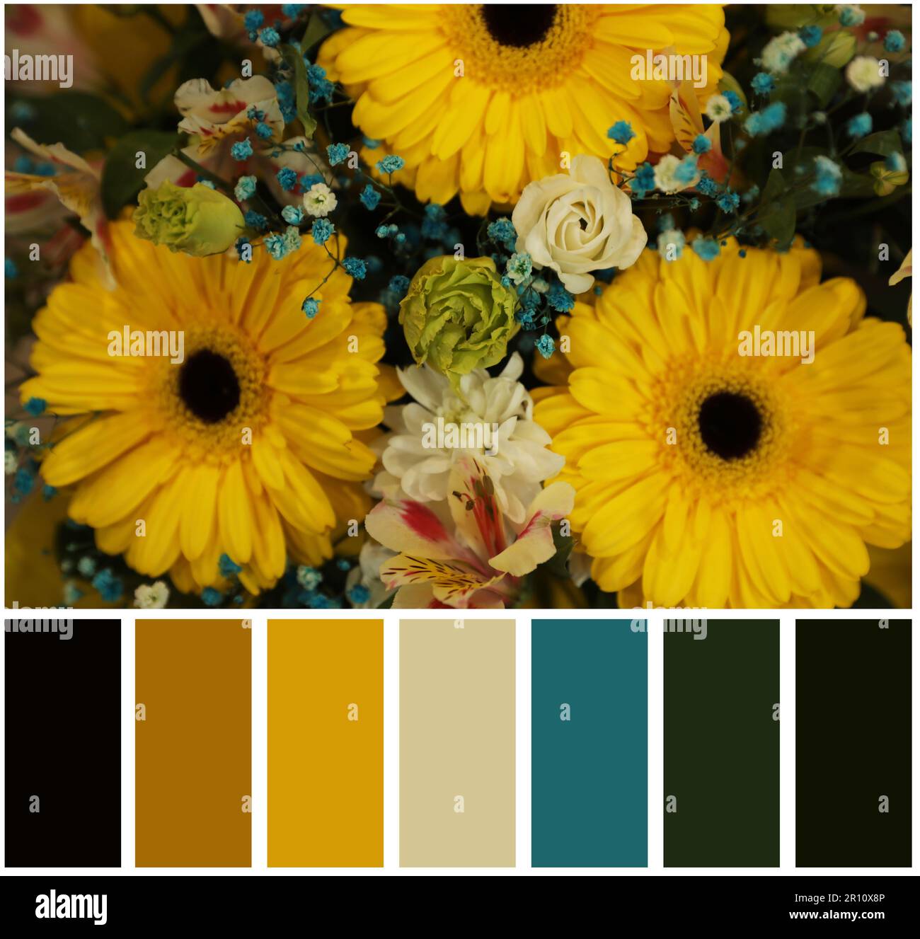 Beautiful fresh flowers and color palette. Collage Stock Photo - Alamy