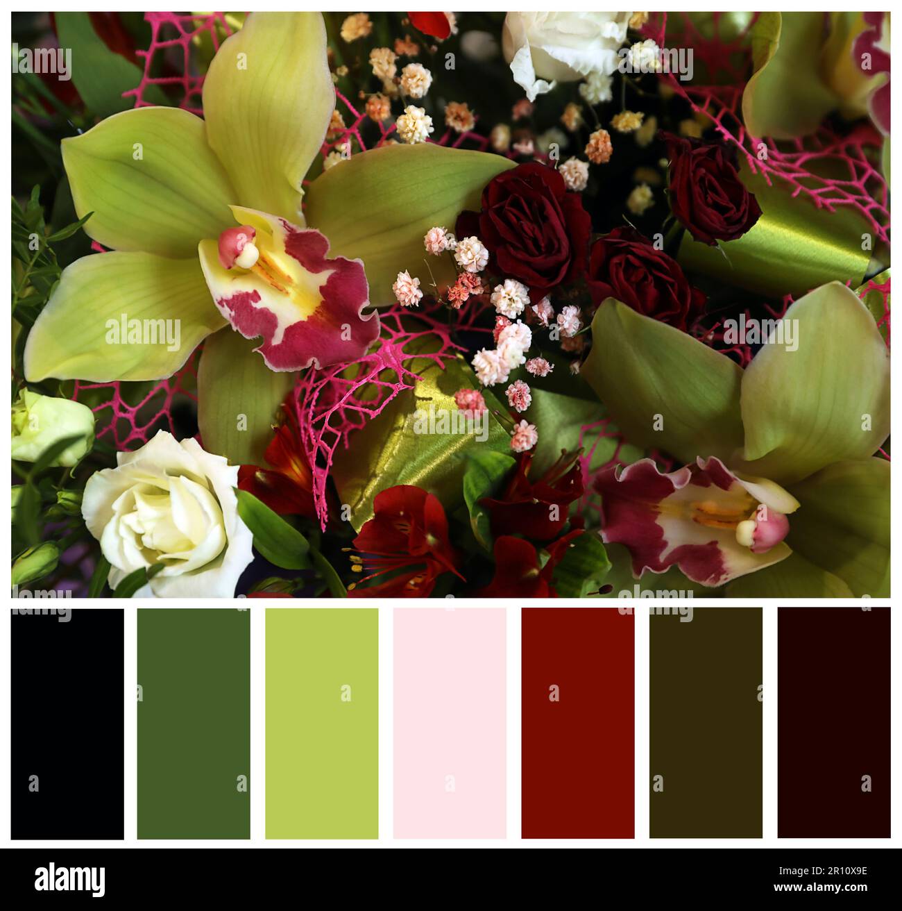 Beautiful fresh flowers and color palette. Collage Stock Photo - Alamy
