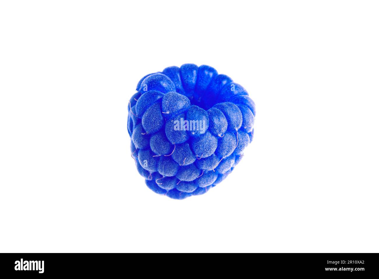 Fresh tasty blue raspberry on white background Stock Photo - Alamy