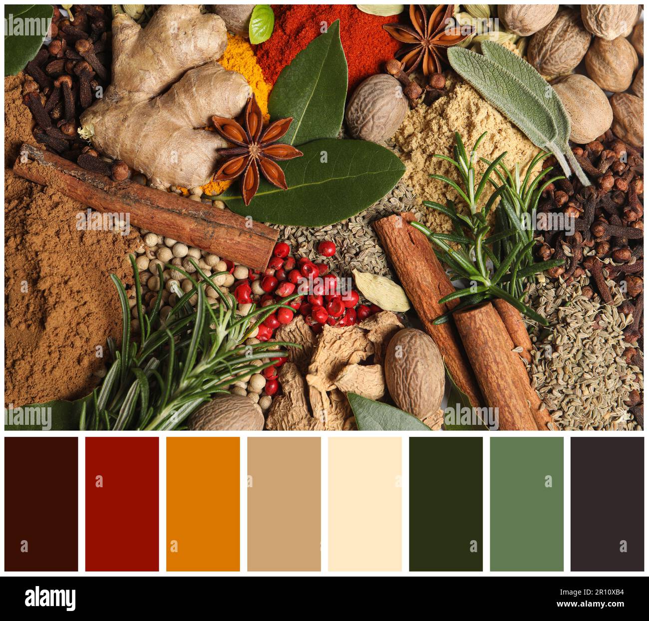 Different fresh herbs with aromatic spices and color palette. Collage ...