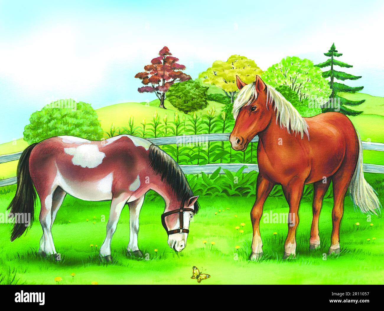 Animals-Horses in paddock rural scene Stock Photo - Alamy