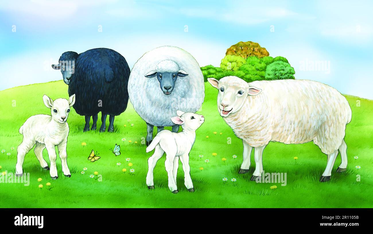 Animals-Sheep with lambs in paddock Stock Photo - Alamy