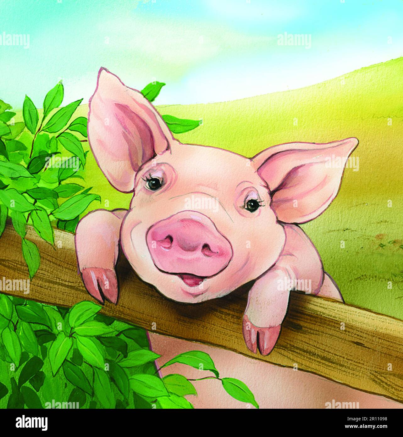 Animals-Happy Pig looking over fence Stock Photo - Alamy