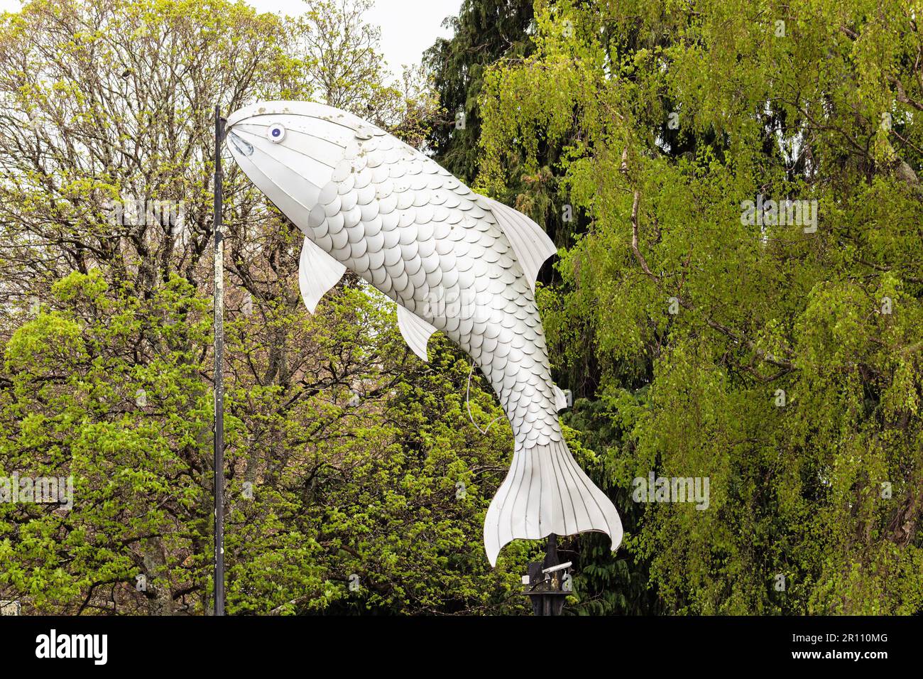 Taupo, New Zealand - October 25, 2022: The Giant metal trout sculpture ...