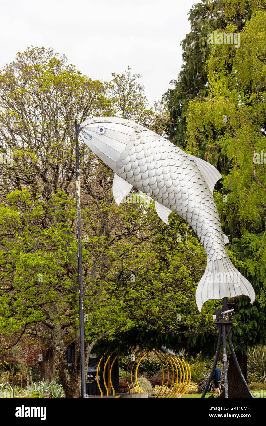Taupo, New Zealand - October 25, 2022: The Giant metal trout sculpture ...