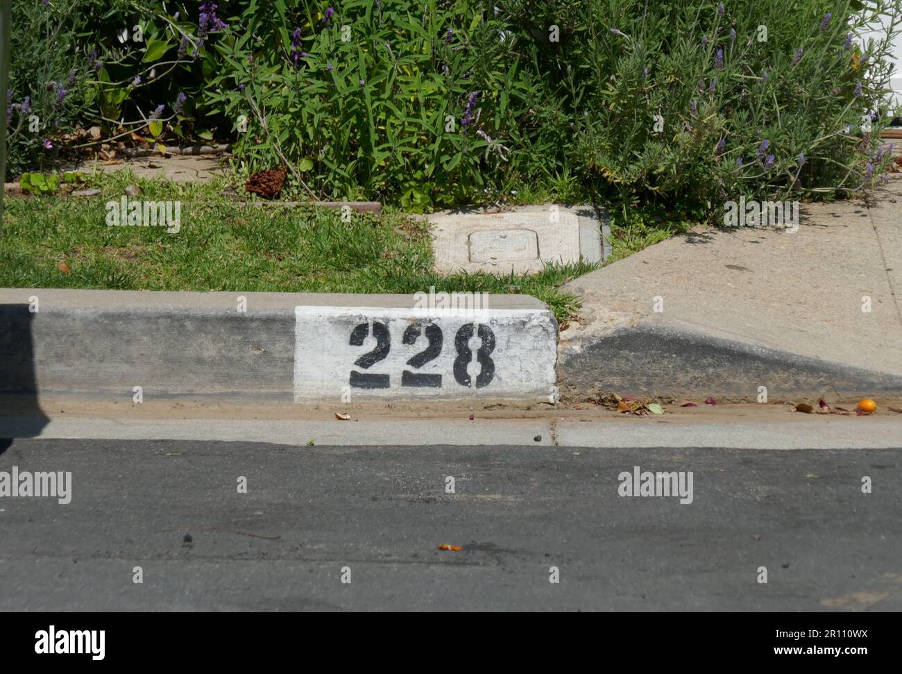 Los Angeles, California, USA 8th May 2023 Baseball Player Steve Garvey ...