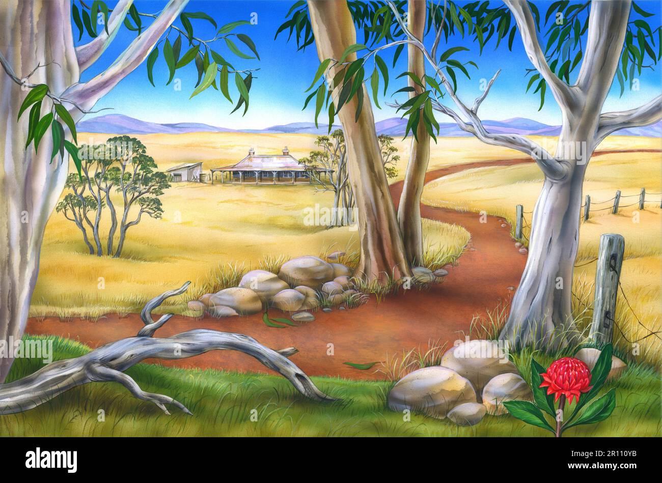 Nature- Australian Gum trees. in rural setting Stock Photo - Alamy