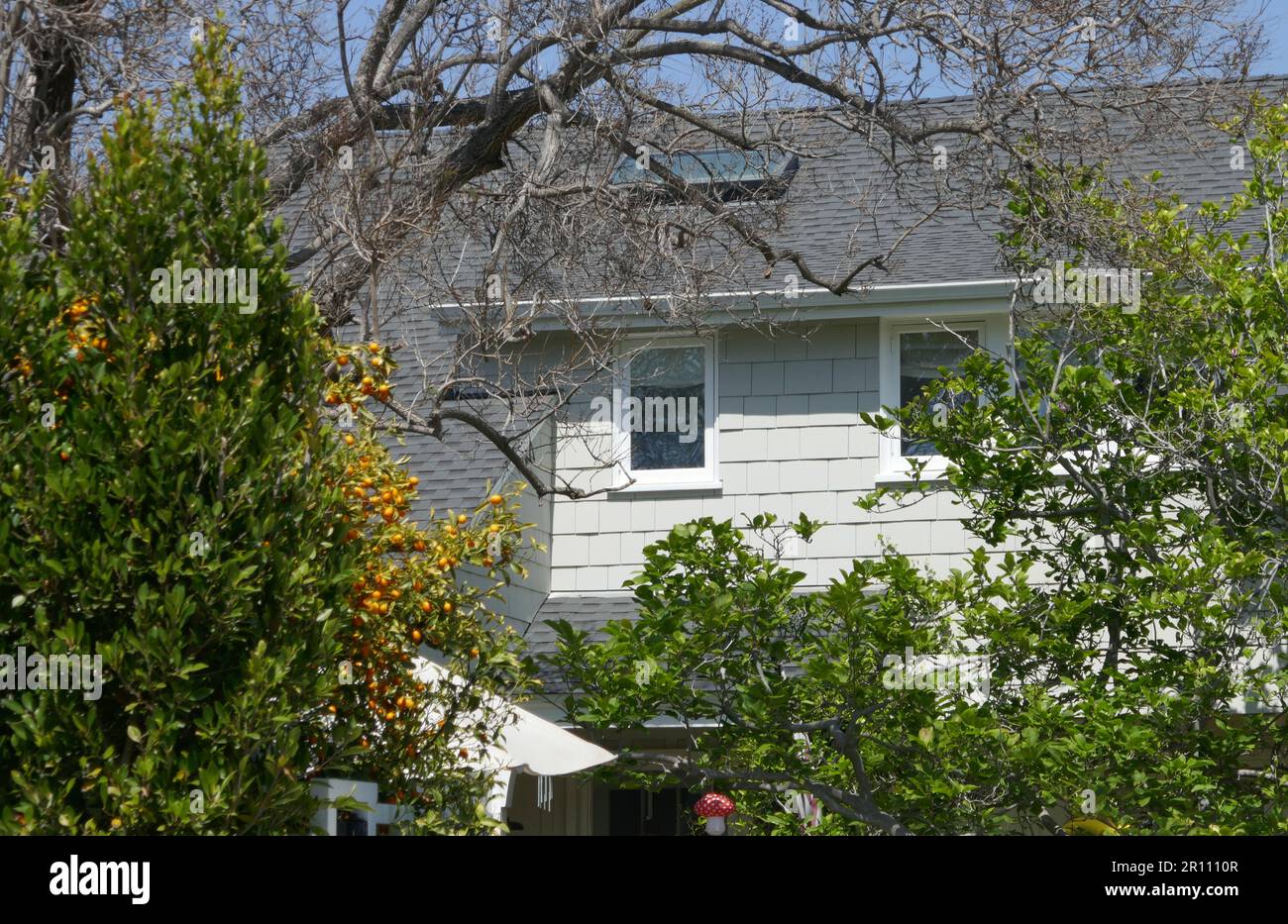 Los Angeles, California, USA 8th May 2023 Baseball Player Steve Garvey ...