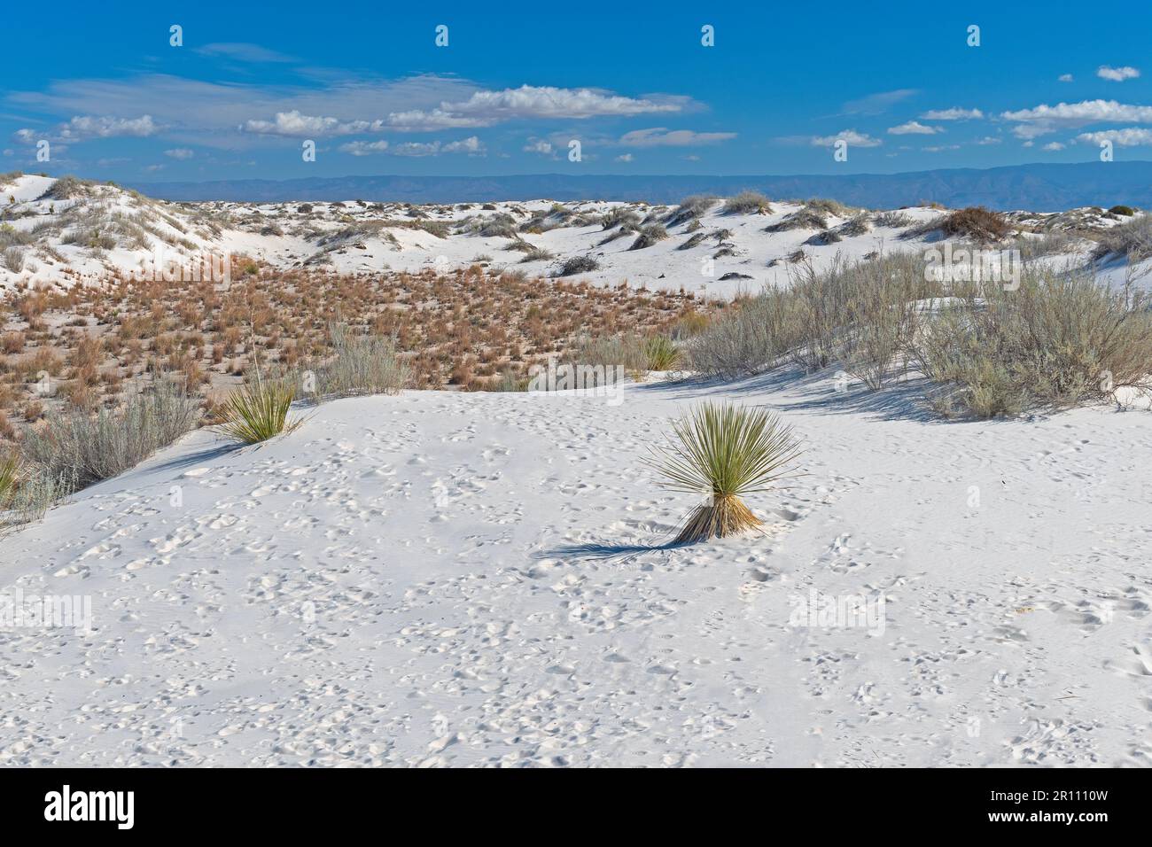 White Sands Panorama in the Fall in White Sands National Park in New ...