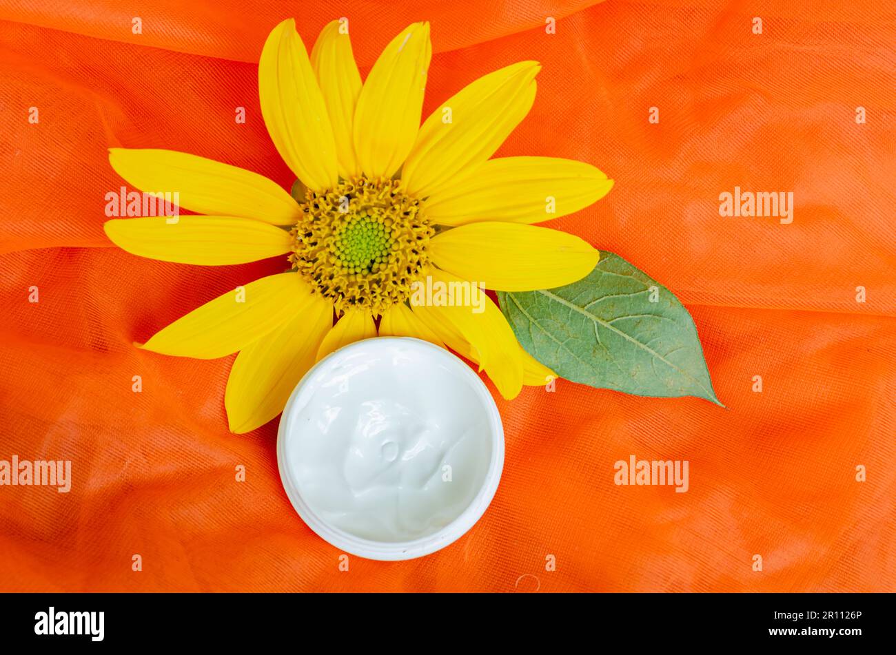 Sunflower and Skin Cream Stock Photo - Alamy