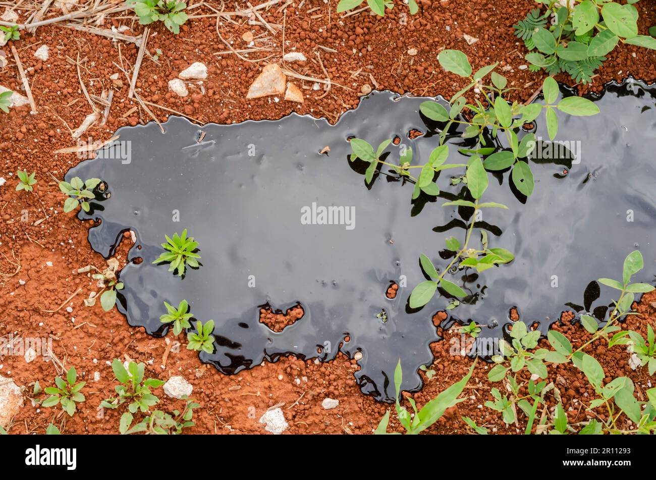 Liquid asphalt leaks onto the ground Stock Photo - Alamy