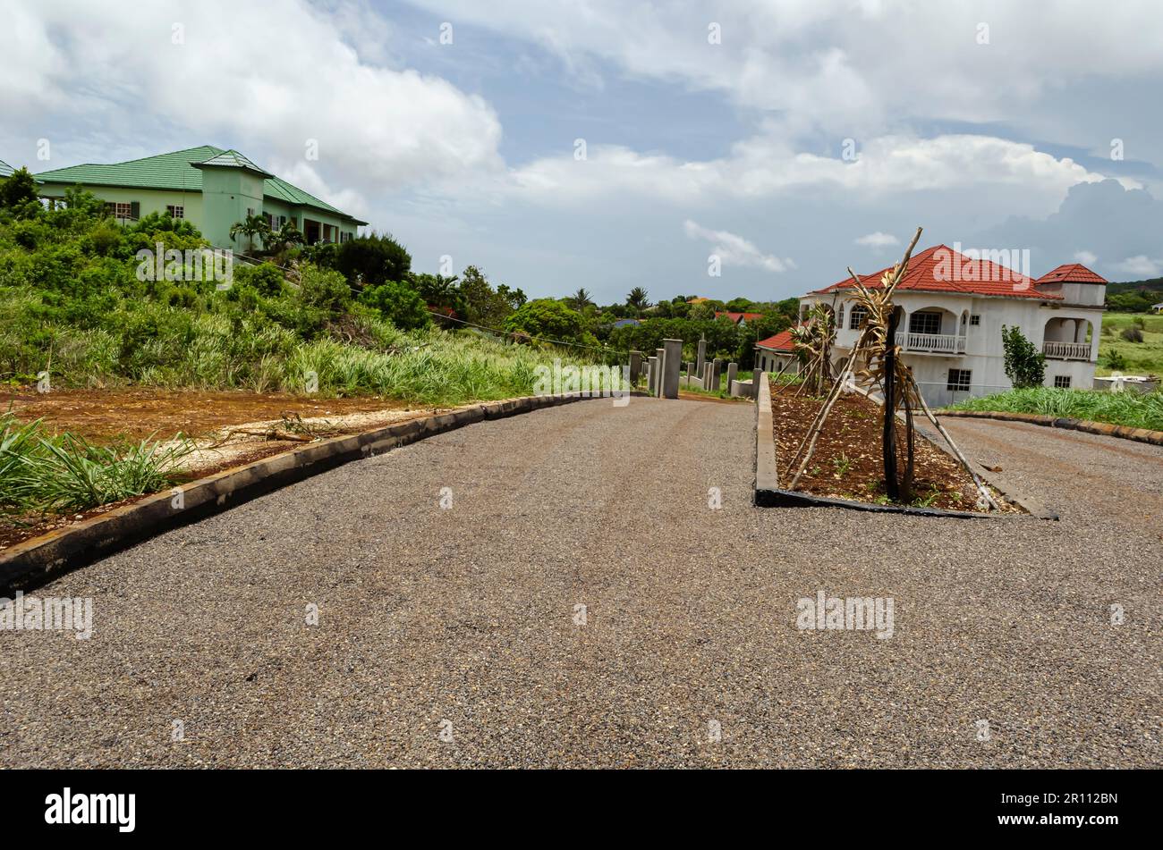 Palm tree plants in a plant box exiting a new sub-division are ...