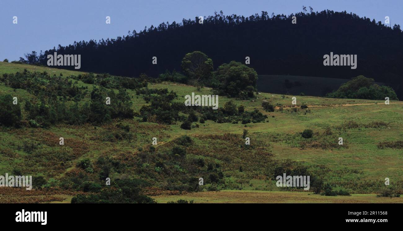 6th mile ooty hi-res stock photography and images - Alamy