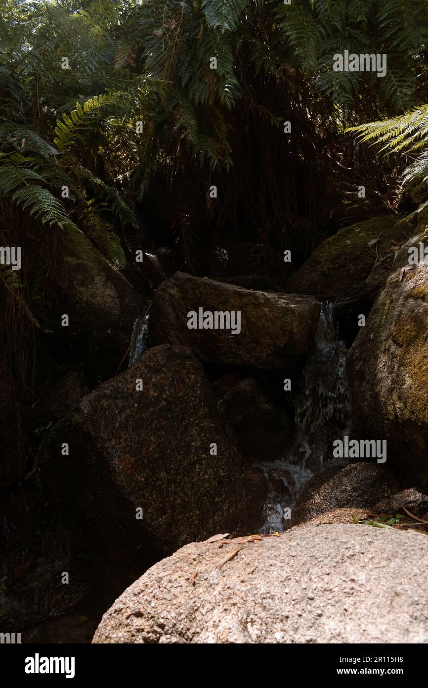 Only small amount of water here Stock Photo - Alamy