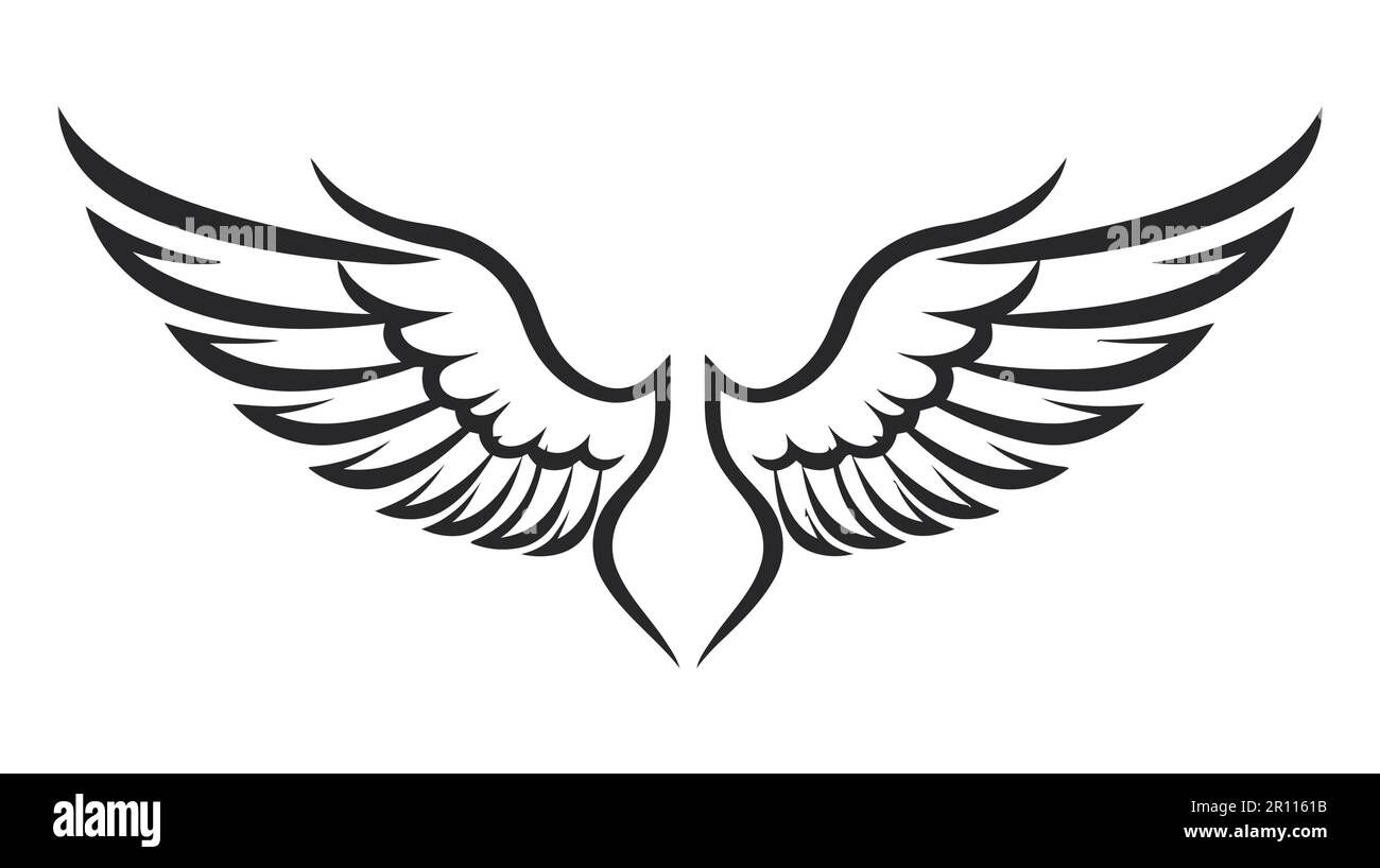 Angel wings, bird wings collection cartoon hand drawn vector ...