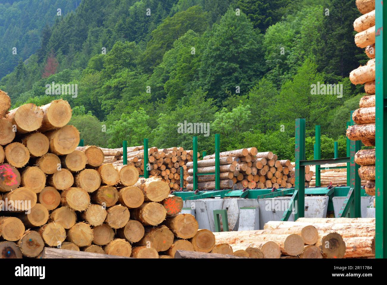 Black Forest, Baden-Wuerttemberg, Upper Black Forest, Dold Holzwerke ...