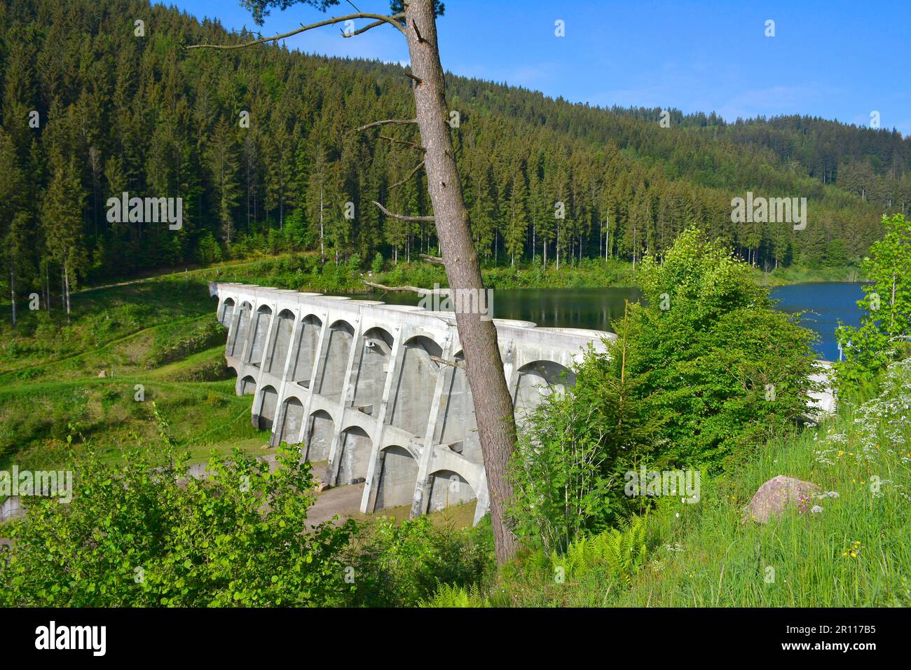 Black Forest, Baden-Wuerttemberg, Upper Black Forest, Linach, dam ...