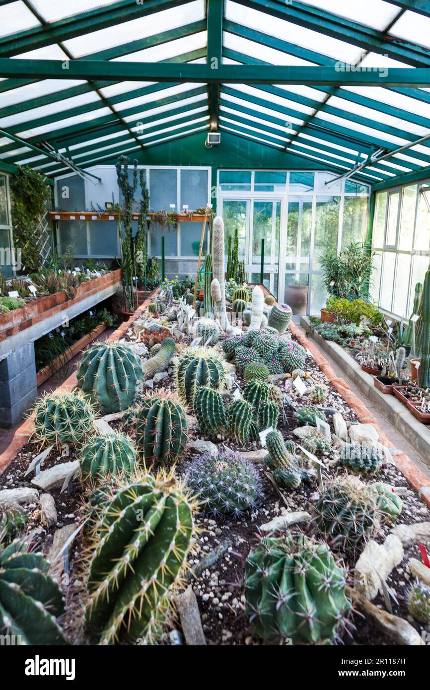 Interior of a cactus greenhouse, detail of the plantation banch Stock ...