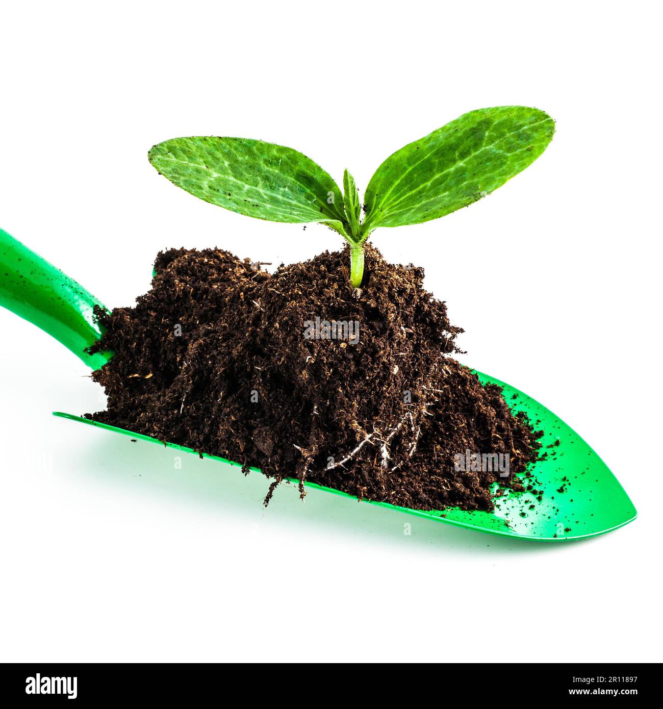 Green garden shovel isolated on white background with young plant Stock ...