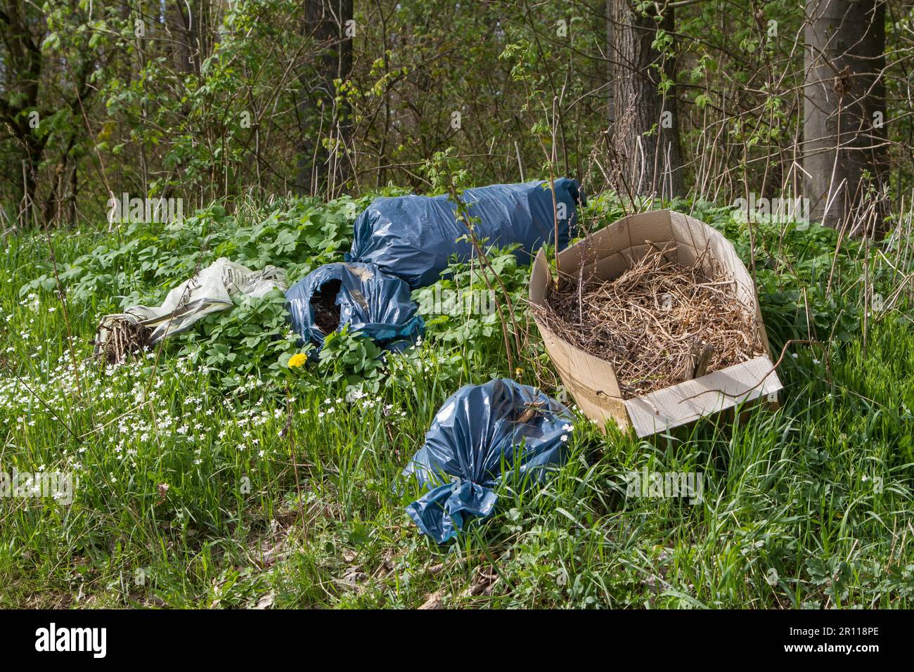 Illegal waste disposal in nature Stock Photo - Alamy