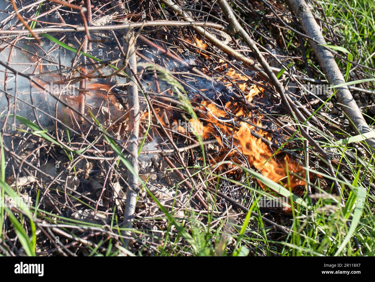 Fire and smoke. Glowing, burning carbonized firewood in a bonfire ...