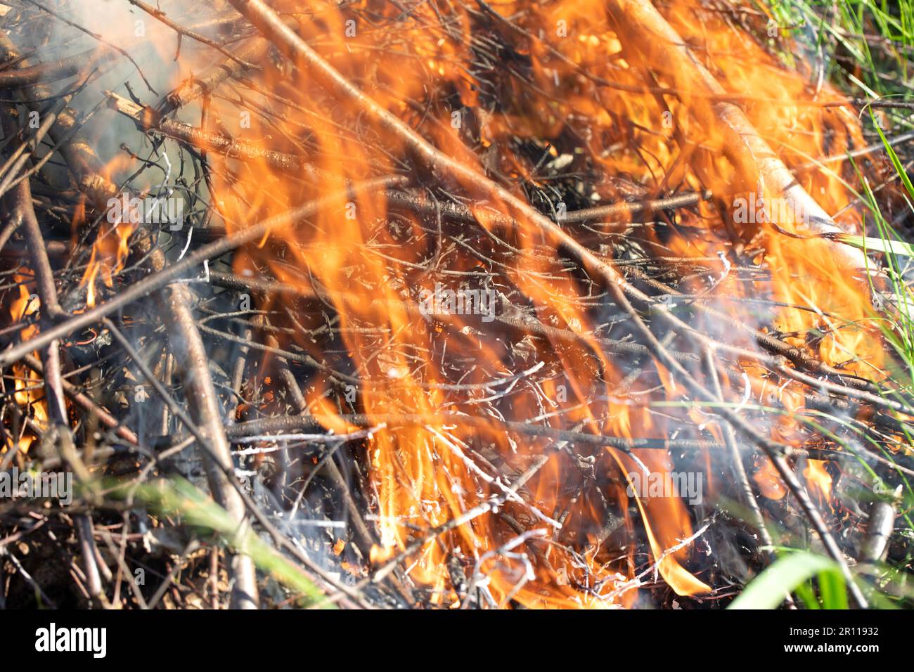 Fire and smoke. Glowing, burning carbonized firewood in a bonfire ...