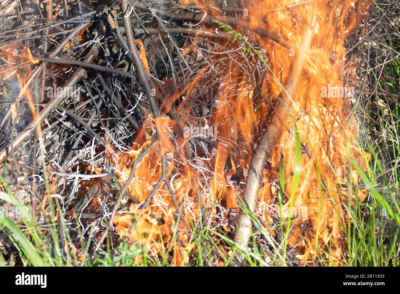 Fire and smoke. Glowing, burning carbonized firewood in a bonfire ...
