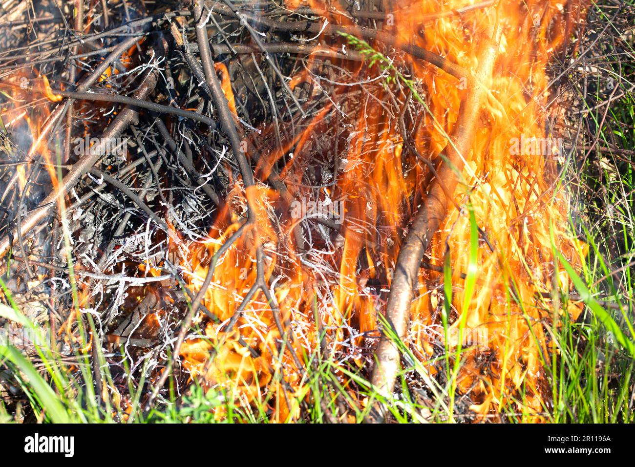 Fire and smoke. Glowing, burning carbonized firewood in a bonfire ...