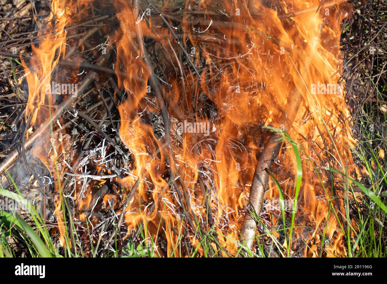 Fire and smoke. Glowing, burning carbonized firewood in a bonfire ...