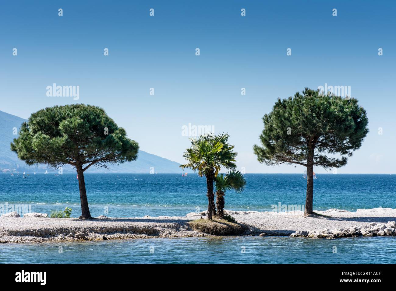Trees at the lakefront of Lake Garda in Torbole Italy, Naag-Turbel ...