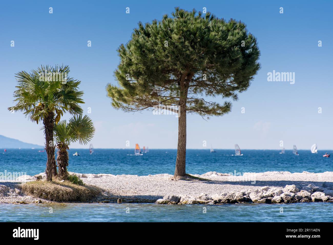 Trees at the lakefront of Lake Garda in Torbole Italy, Naag-Turbel ...