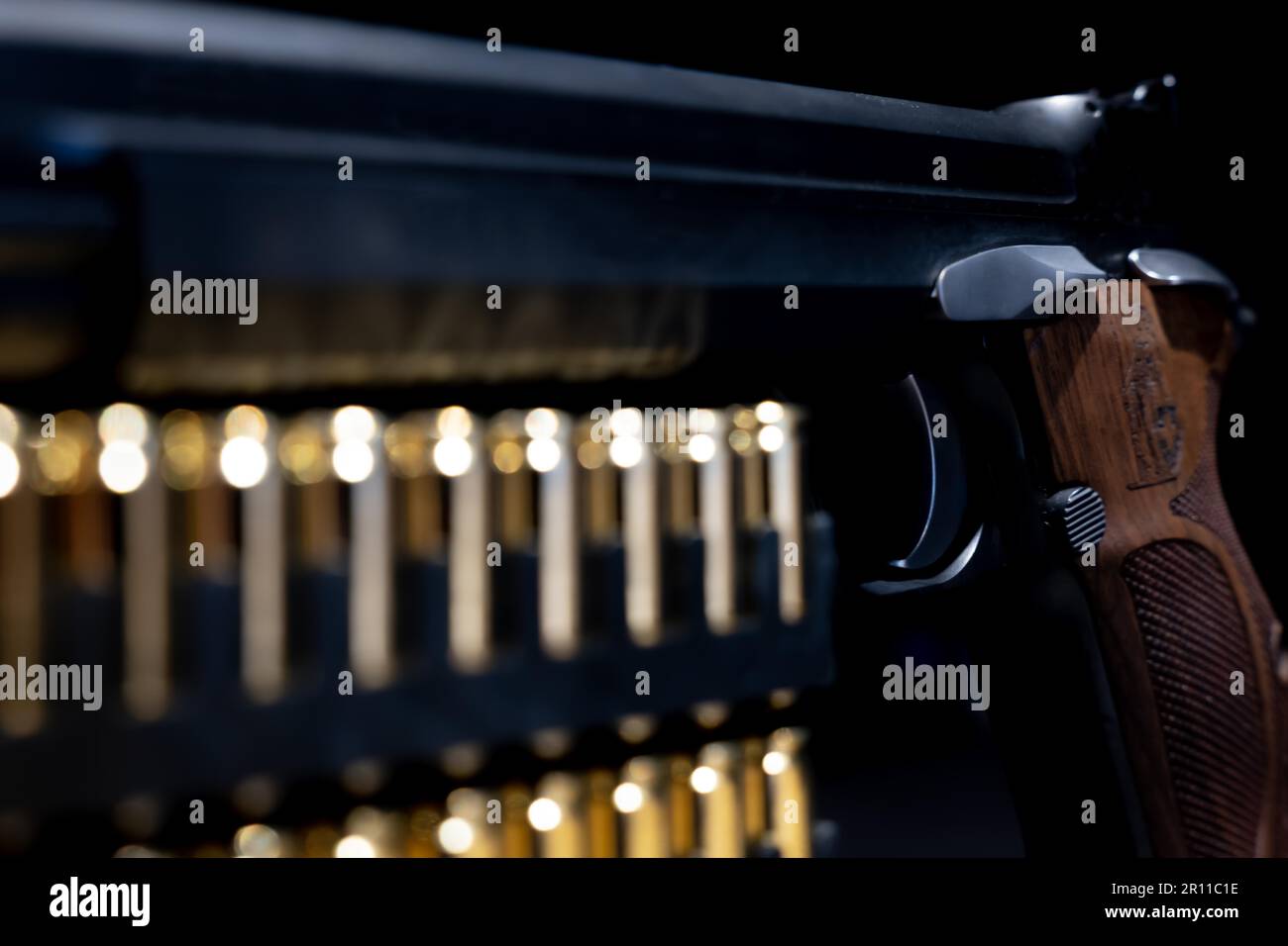 Elegant Semiautomatic 9mm Handgun with Swiss Helvetia Symbol Leaning on ...