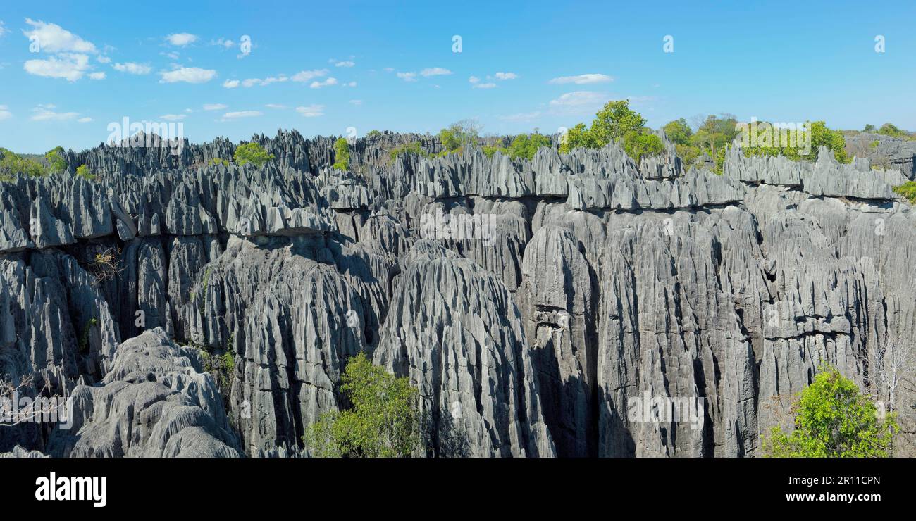 Rock formation, Tsingy de Bemaraha National Park, Unesco World Heritage ...