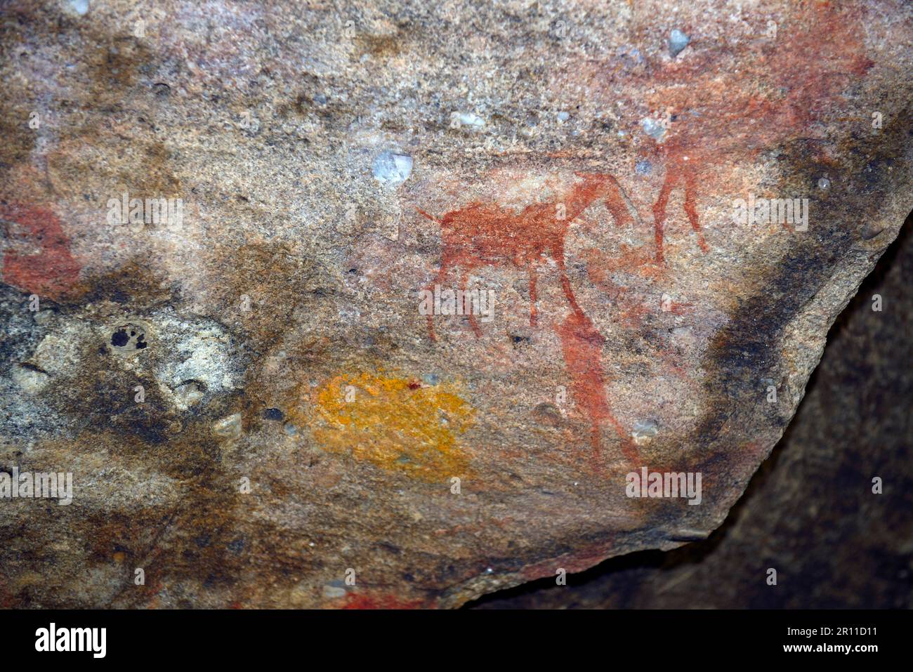Ancient rock art, drawings of the San people, indigenous people of ...