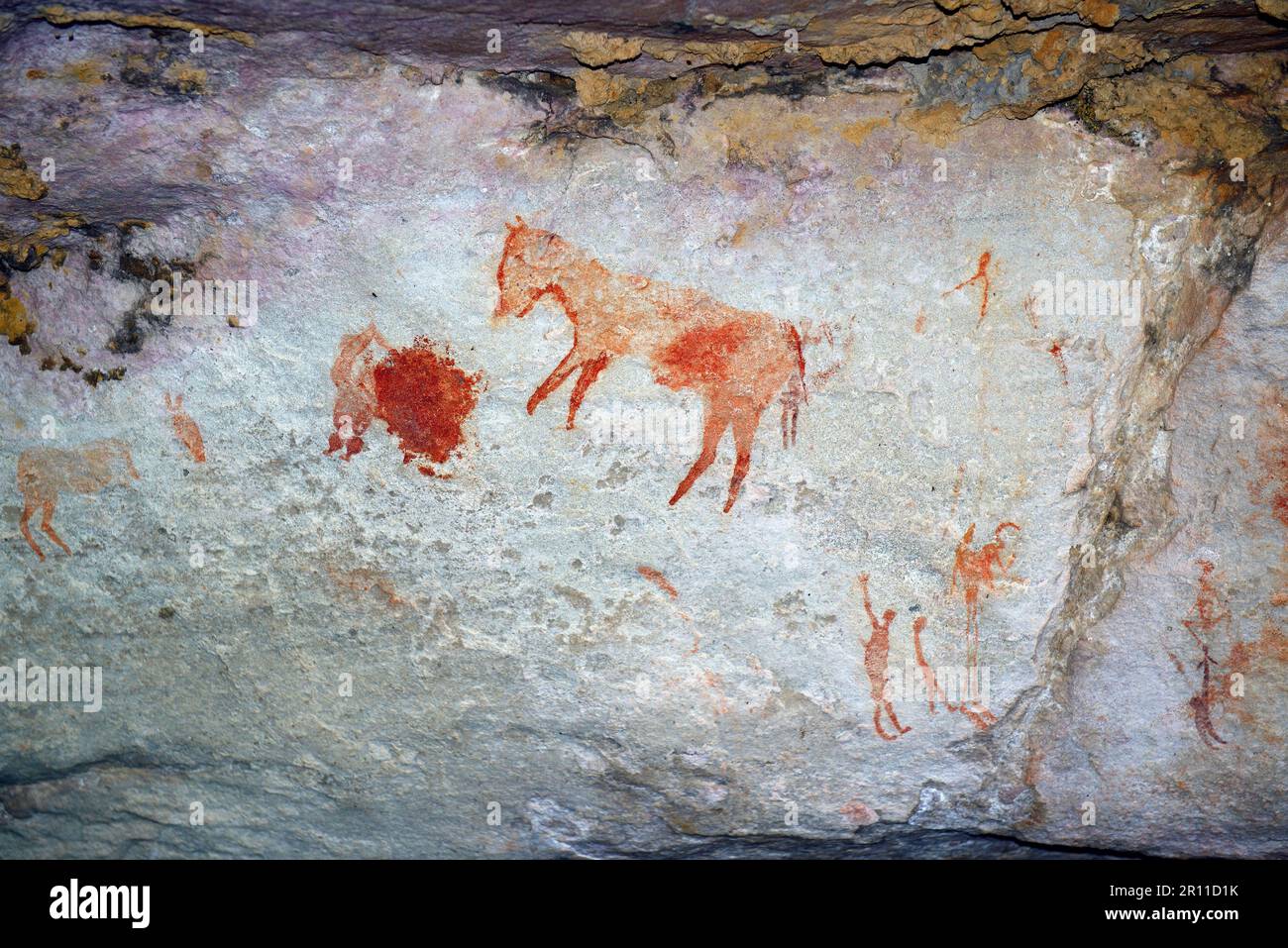 Ancient rock art, drawings of the San people, indigenous people of ...