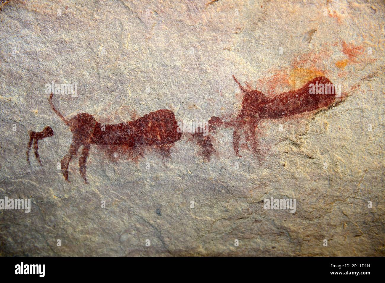 Ancient rock art, drawings of the San people, indigenous people of ...
