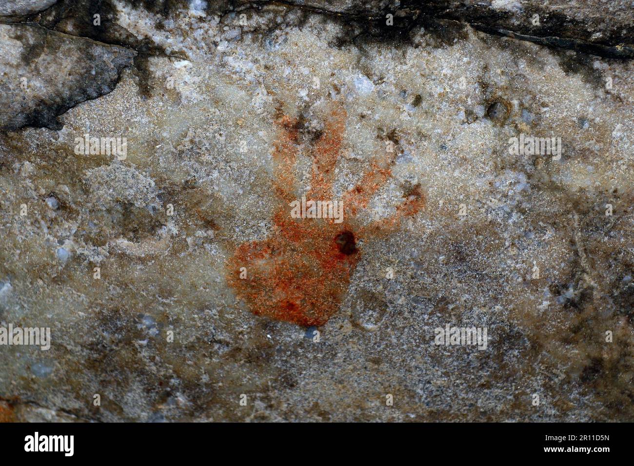 Ancient rock art, drawings of the San people, indigenous people of ...